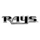 Tampa Bay Rays Tropicana Field Rays Nation Al East Baseball Team Png