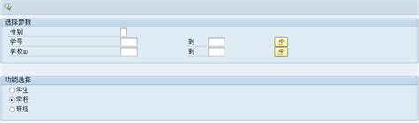 Sap Abap Selection Screensap Selection Screen Csdn博客
