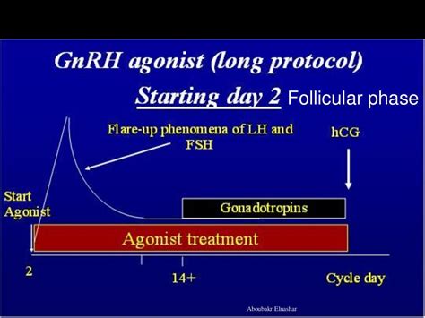 Controlled Ovarian Stimulation In Ivf