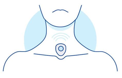 Automatic Heart Rate Detection During Sleep Using Tracheal Audio