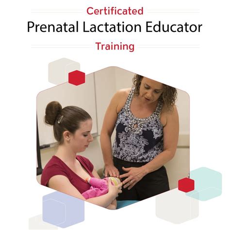 Join Us For A Fully Online Self Paced Certificated Prenatal Lactation