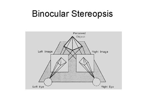 Binocular Stereopsis How Multiple Views Enable One To