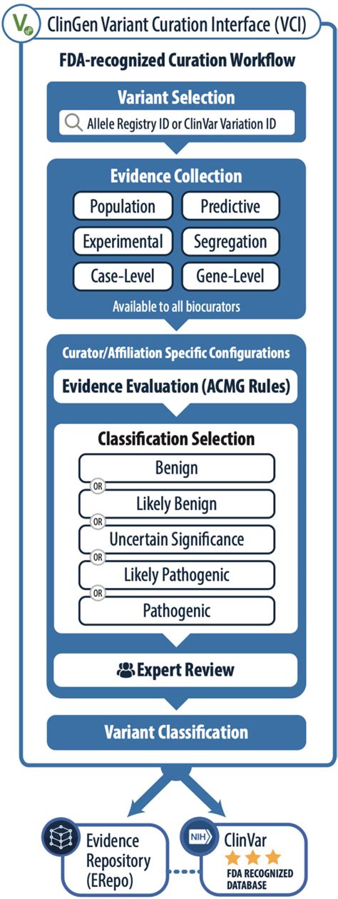 Clingen Variant Curation Interface A Variant Classification Platform For The Application Of
