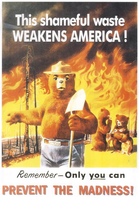 Smokey The Bear Quotes Quotesgram