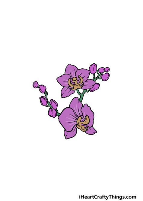 Purple Orchids Tat Are Easy To Draw Joseph Unintork