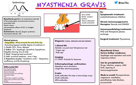 Myasthenia Gravis Overview Myasthenia Gravis Is Grepmed