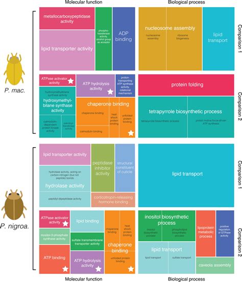 Revigo⁴⁸ Treemaps Showing Enriched Gene Ontology Go Terms Associated Download Scientific