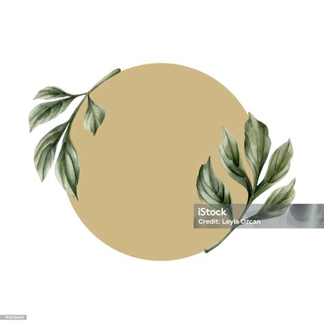베이지색 둥근 배경의 녹색 모란 잎의 화환입니다 꽃 수채화 그림 손으로 그린 흰색 절연 결혼식에 대한 스톡 벡터 아트 및 기타 이미지 결혼식 그래픽 프린트 꽃집