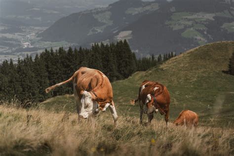 30000 Erotische Bilder Bilder Und Fotos · Kostenlos Downloaden