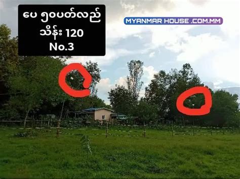 အရစ်ကျရတဲ့ မြေကွက်လေးနဲ့မိတ်ဆက်ပေးပါမယ် မှော်ဘီမြို့နယ် ကုလားကုန်းစံပြက