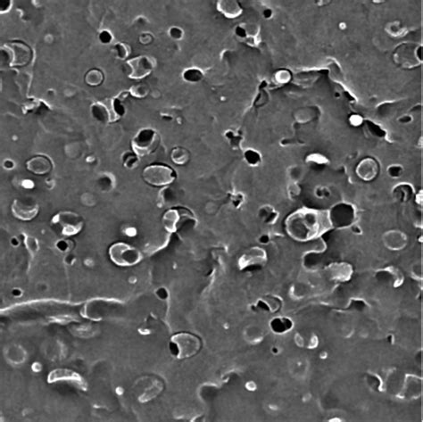 unwanted parts in threshold adjustment image analysis image sc forum