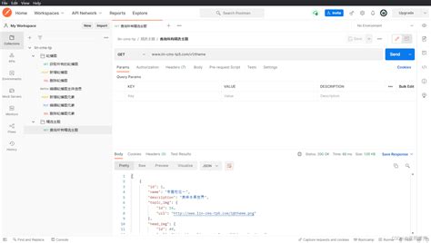 Postman Error Getaddrinfo Enotfound Csdn