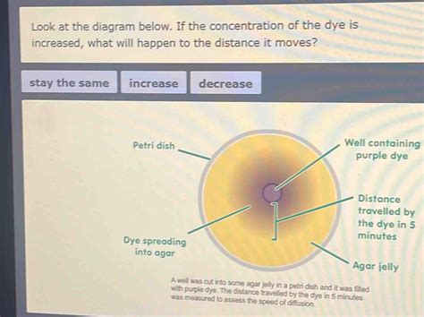 Solved Look At The Diagram Below If The Concentration Of The Dye Is Increased What Will