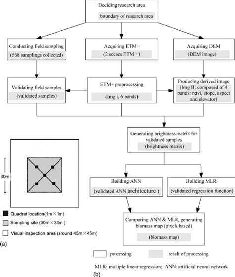 Sampling Method And Biomass Assessment Procedures Download