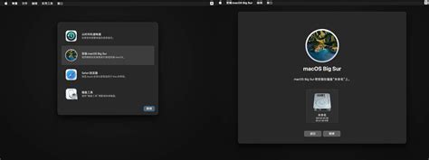 Vm16安装macos11 言成言成啊
