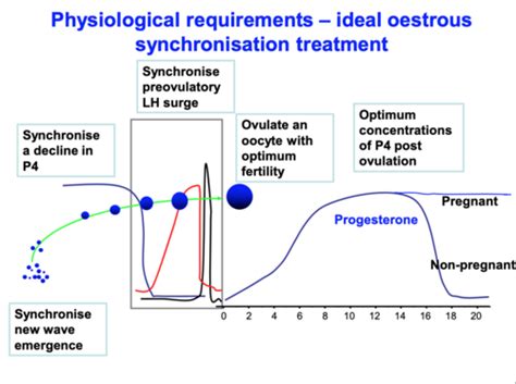 Bovine Reproduction 31 Synchronisation Of Oestrus In Cattle