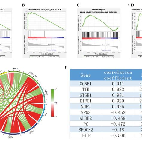 Gsea Enrichment Analysis And Co Expression Analysis In Tcga Rna Seq