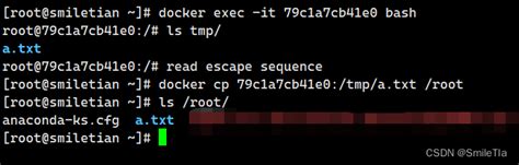 Docker核心命令速查 Csdn博客