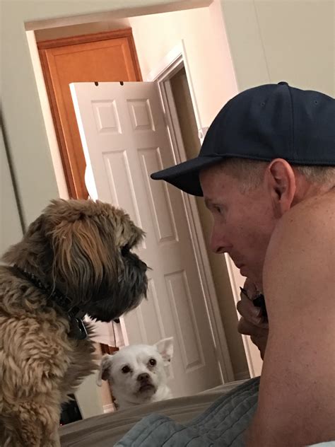 Need Caption Album On Imgur Need Caption Album On Imgur