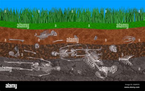 What Happens To A Body After Its Buried At Margaret Rice Blog
