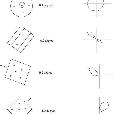 the spatial structure of visual receptive fields and their directional