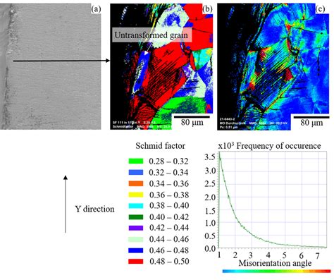 EBSD Analysis Of A Specimen Cut At 110 C A SEM Picture B Download Scientific Diagram