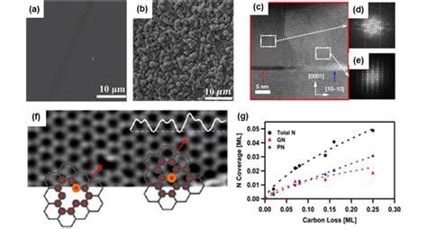 Plan View Sem Image Of Gan Growth On Graphenesio 2 Si Substrate A Download Scientific