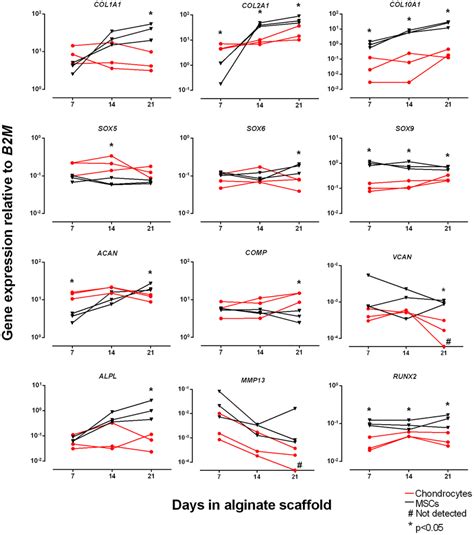 Real Time Reverse Transcription Polymerase Chain Reaction Download Scientific Diagram