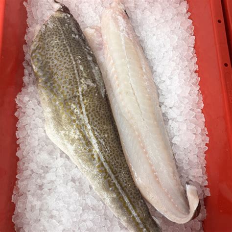 Cod Fillet Approx 1kg Rg Seafoods