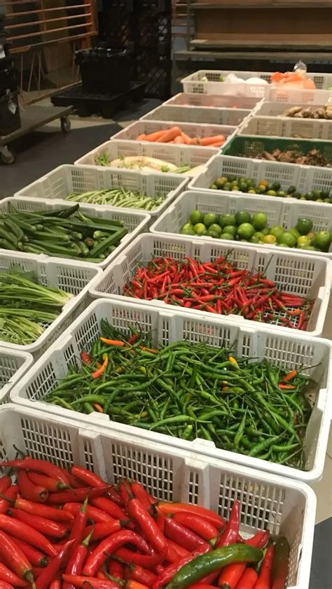 Fresh And Colorful Vegetable Baskets