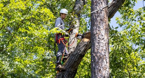 Sterling Investment Partners Eyes Single Asset Process For Xylem Kendall