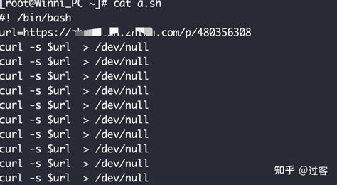 课笔记 Linux基础 shell脚本中的变量 知乎
