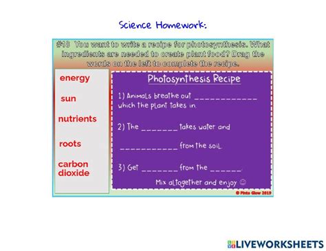 2187316 Homework Week 9 Day 2 Mary S Regione
