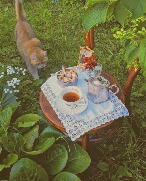 Cottage Core Aesthetic Ideas Cottage Core Aesthetic Nature Aesthetic