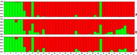 The Population Structure Bar Plots Generated By Structure Software At