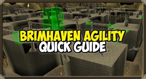 Osrs Birdhouse Run Guide Passive Hunter Exp Osrs Guide