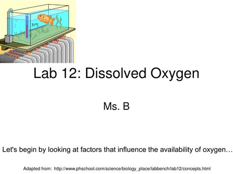 PPT Lab 12 Dissolved Oxygen PowerPoint Presentation Free Download ID 416284