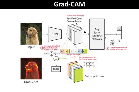 Github Ali K Hesarhow Ai Sees Our World Vision Transformer Vit Models With Their