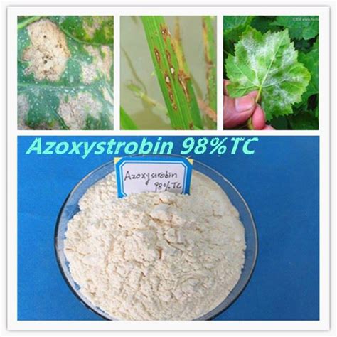 Azoxystrobin Manufacturers Suppliers And Factory Wholesale Price