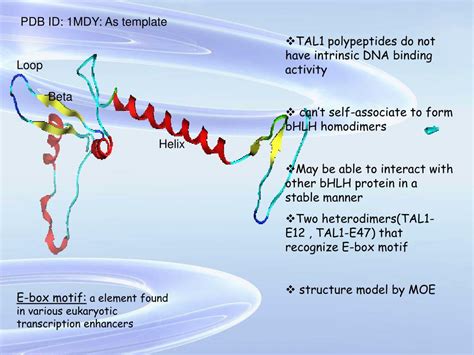 Ppt Predicting 3d Protein Structure Using Homology Modeling