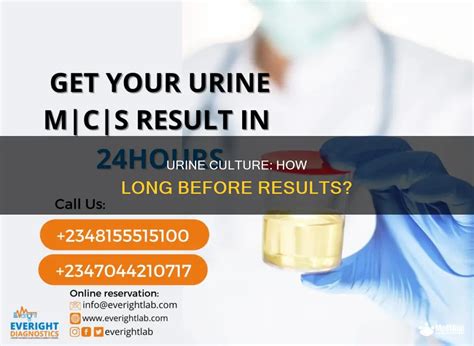 Urine Culture How Long Before Results Medshun