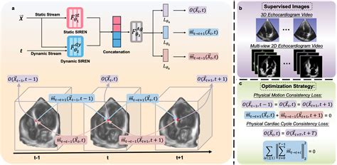 Continuous 3d Myocardial Motion Tracking Via Echocardiography
