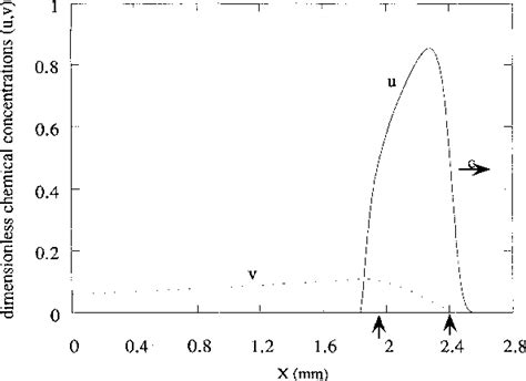 Figure 1 From Convective Chemical Wave Propagation In The Belousov