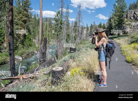 A Young Female Birder Looking Through Binoculars On A Hiking Trail In