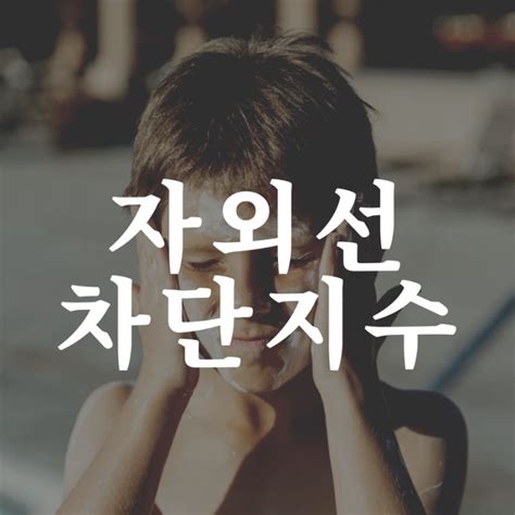 자외선 지수 차단제 선크림 선스틱 선스프레이 네이버 블로그