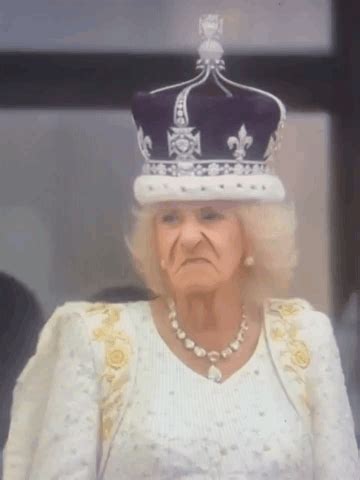 Queen Queen Camilla  Queen Queen Camilla Camilla Discover