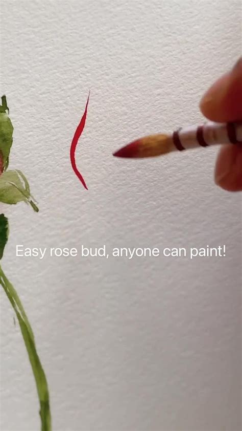 [Видео] «бутон розы любой может нарисовать в 2025 г Рисунки роз Цветы акварелью Розы