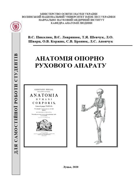 Anatom Oporn Aparat Pdf