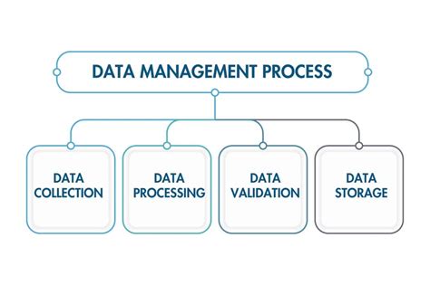 What Is Data Management A Complete Guide