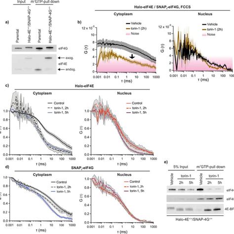Molecular Diffusion And Msd Analysis A Different Types Of Diffusion Download Scientific